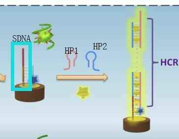 HCR反应的链设计问题求大神指点？-盖德化工问答