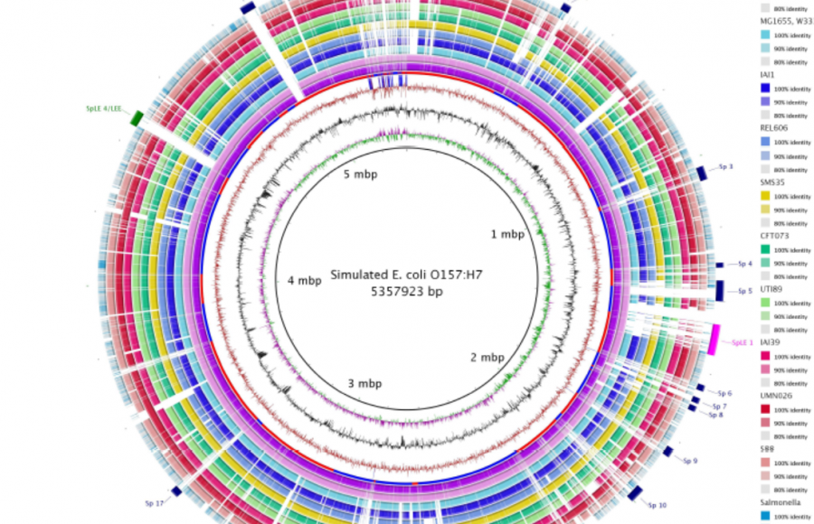 BLAST Ring Image Generator （BRIG）做基因组圈圈图？-盖德化工问答